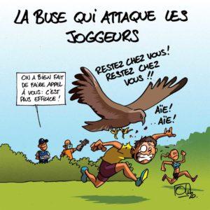 buse | Les humeurs d'Oli